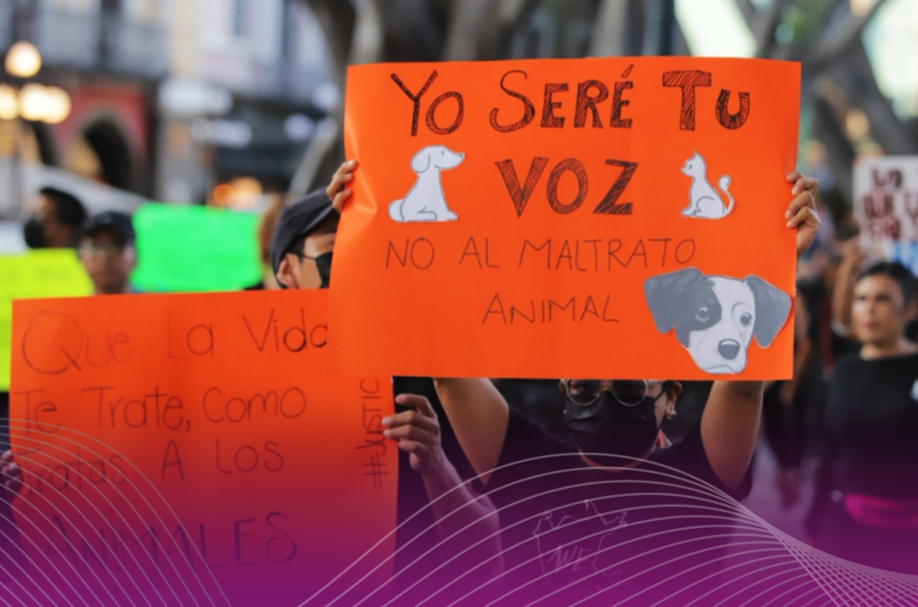 Manifestantes en Puebla gritan «Yo seré tu voz» contra el maltrato ...